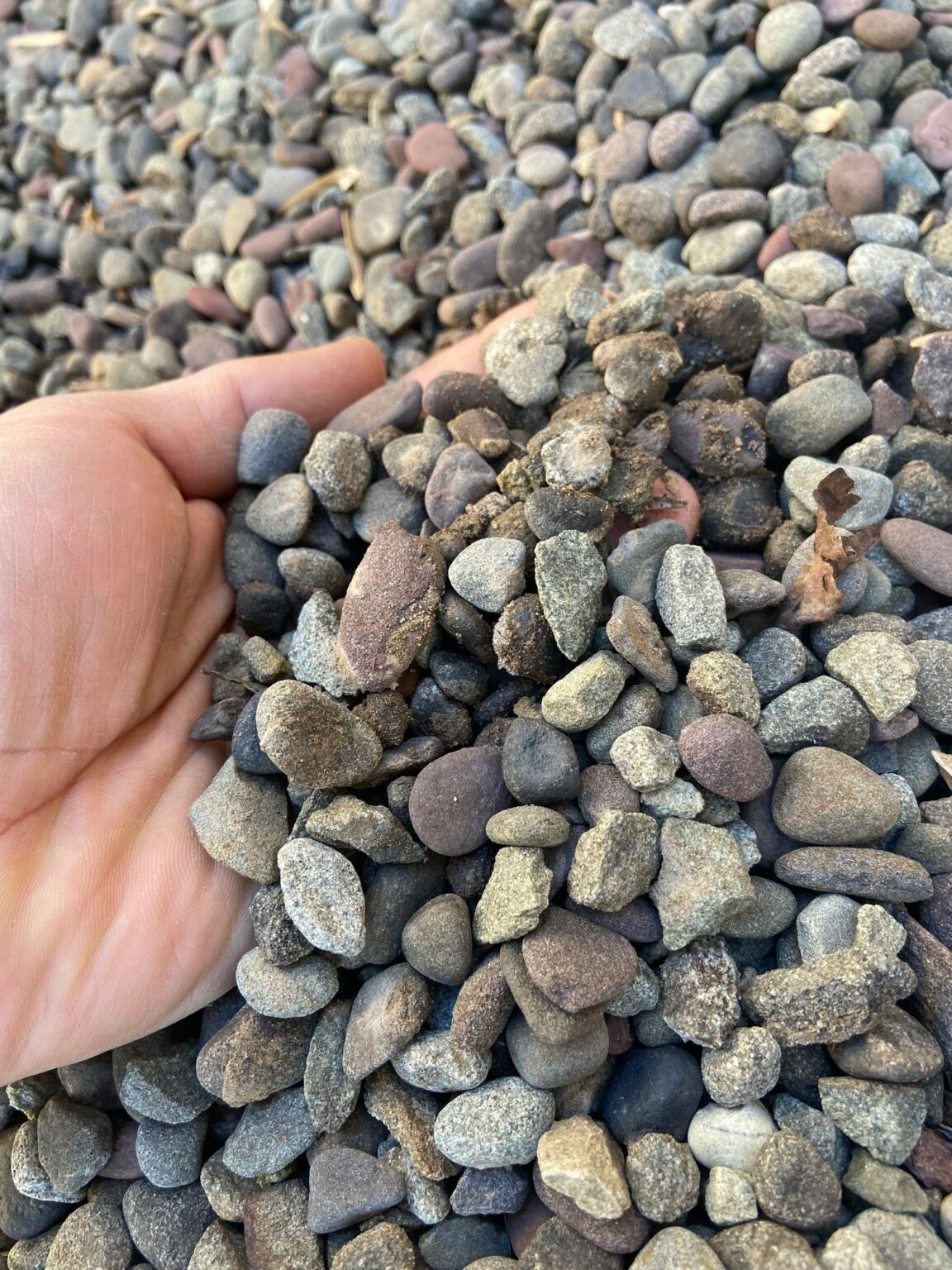 3/8" Pocono Blend Stone - Ridgewood Soils