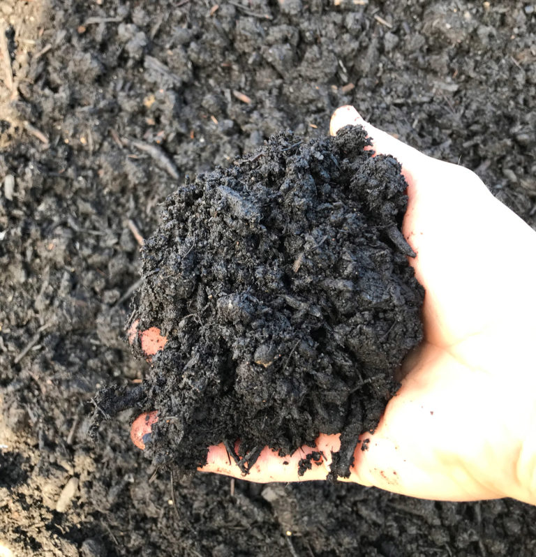 Leaf Compost - Ridgewood Soils